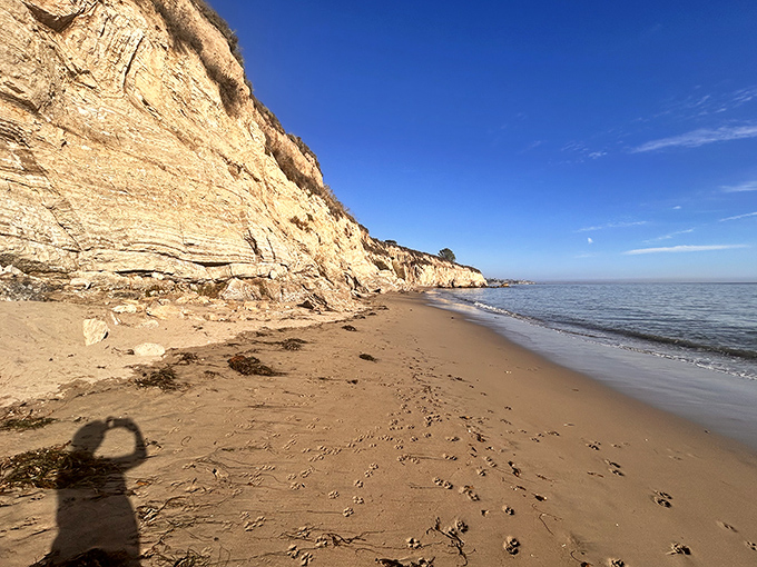 Those golden cliffs aren't just for show—they're nature's sunscreen, blocking winds and creating the perfect microclimate for beach napping.