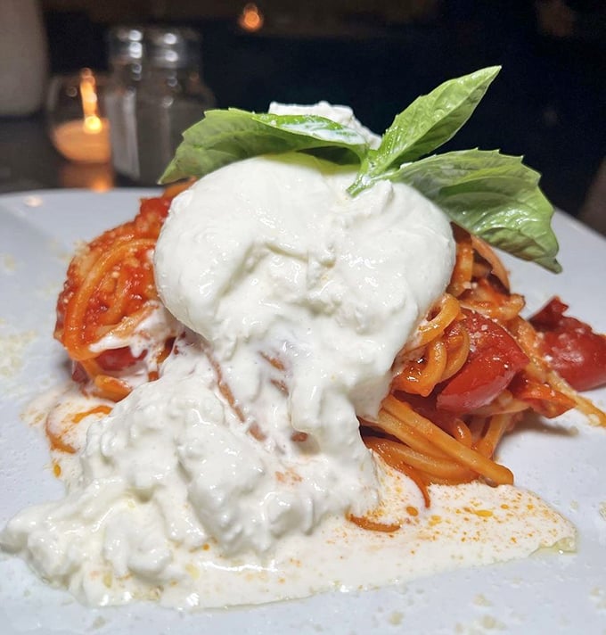 Burrata: where cheese meets art form. This cloud-like creaminess melting over hot pasta creates a moment of pure culinary bliss.