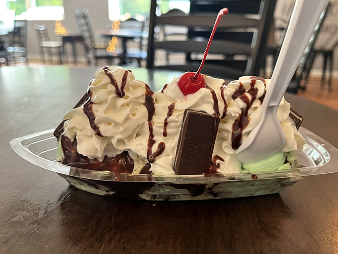 Not all sundaes wear capes, but this one deserves superhero status with its mountain of whipped cream, hot fudge rivers, and that perfect cherry sentinel.