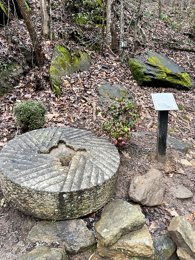 This ancient millstone tells silent stories of Toccoa's industrious past, when water powered more than Instagram feeds.