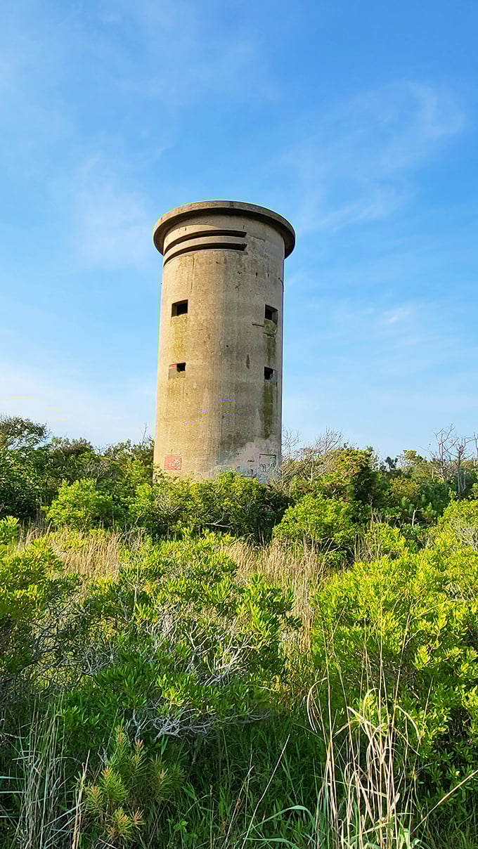 Standing sentinel over coastal wilderness, this WWII-era tower reminds us of history while we make new memories. Delaware's own time capsule with a view.
