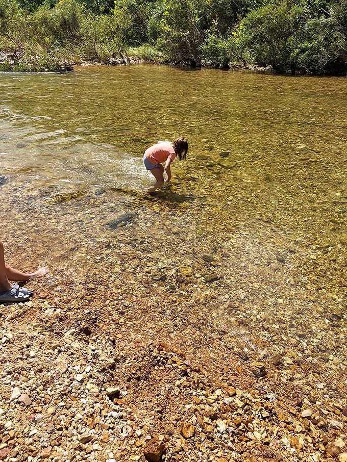 Clear as your grandmother's conscience, Sinking Creek reveals every pebble beneath its surface. This natural aquarium makes chlorinated pools seem like sad imitations.