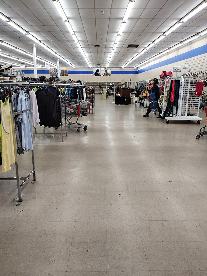 Wide, well-organized aisles invite exploration without the claustrophobia of typical retail spaces. Here, the treasure hunt unfolds with room to breathe.
