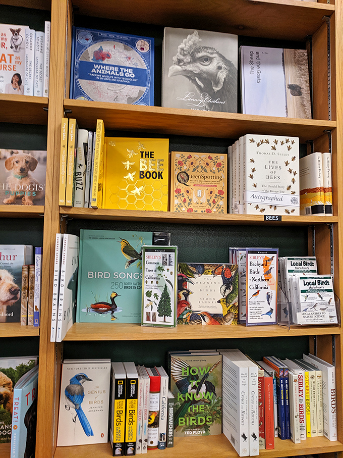 From bees to birds, the nature section offers escape into wild worlds. Perfect for armchair naturalists and actual binocular-wielding enthusiasts alike.