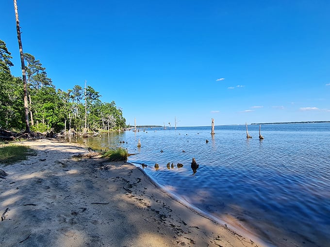 Beach day without the crowds? Yes, please! This sandy shoreline along the Pamlico offers solitude that Instagram influencers haven't discovered yet.