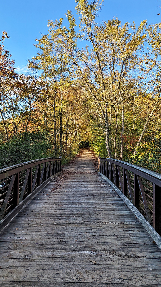 This wooden bridge doesn't just connect two trails&mdash;it's a portal between everyday life and woodland serenity.