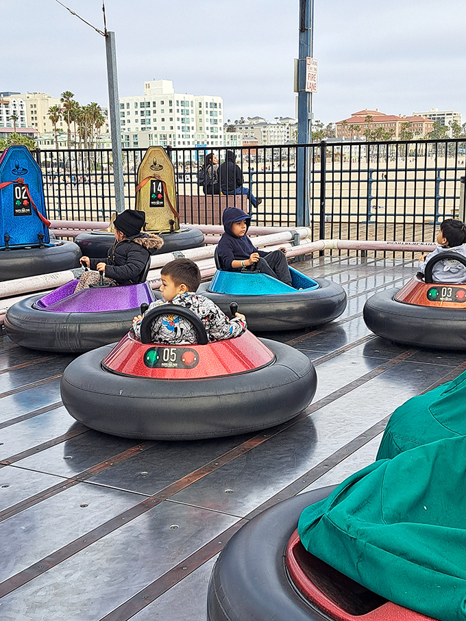 Bumper cars: where polite Californians transform into gleeful demolition derby drivers, and "excuse me" becomes "watch out!" for a few glorious minutes.