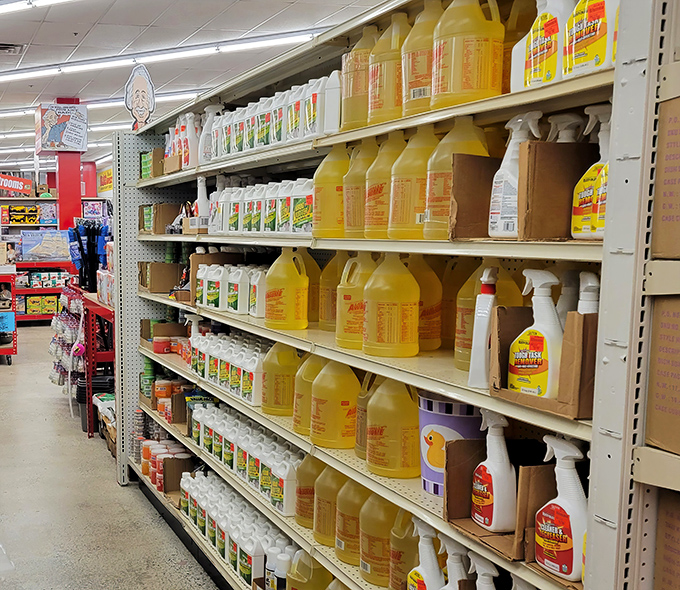 Cleaning products galore! Like a yellow brick road of lemon-scented solutions to life's messiest problems, all at prices that won't make you weep.