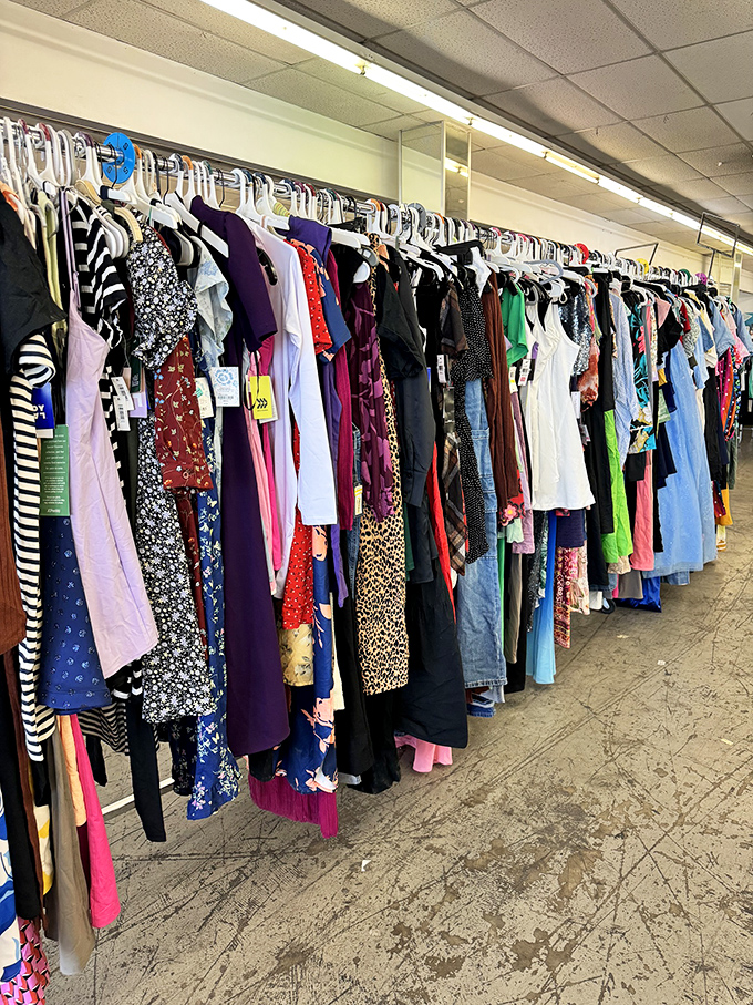 Fashion finds hang in colorful rows, a kaleidoscope of potential style upgrades waiting to transform your wardrobe without transforming your bank account.