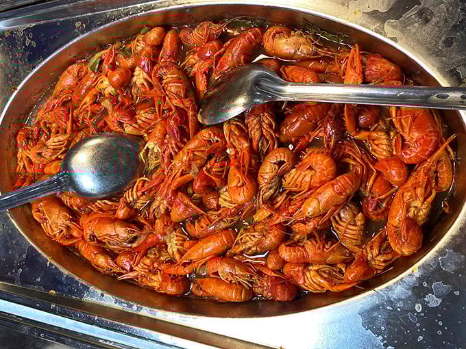 A crimson sea of crawfish awaits the brave. Like tiny lobsters having a pool party, they're practically begging you to roll up your sleeves and dive in.