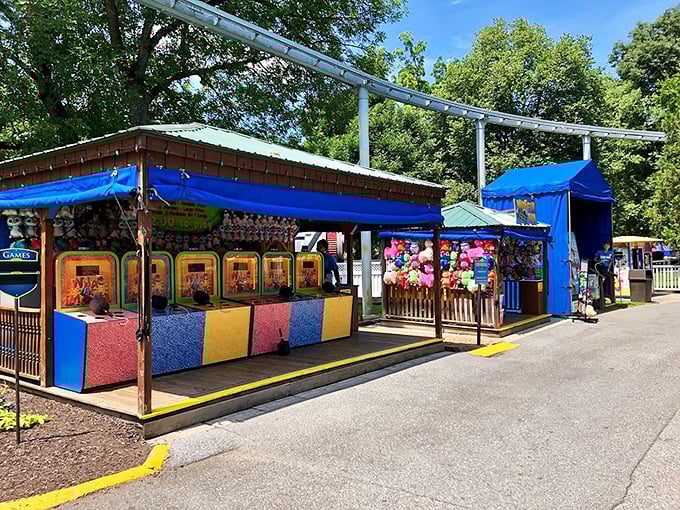 Classic carnival games where the odds are impossible, the prizes are irresistible, and the memories are absolutely priceless.