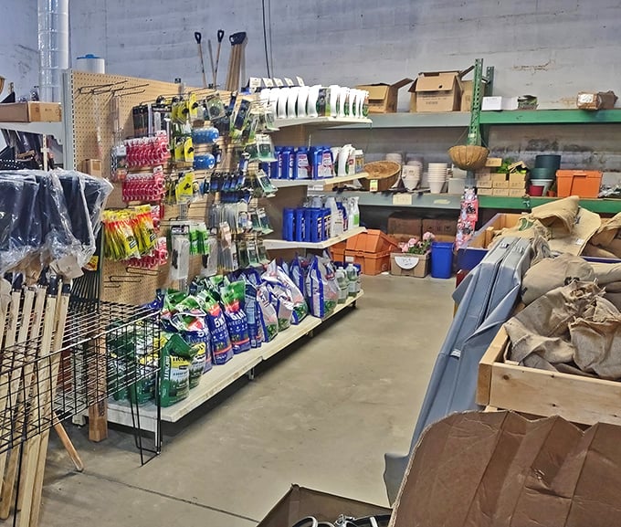 Garden tools, cleaning supplies, and household essentials line the shelves like soldiers ready for domestic duty. Your wallet's new best friend.