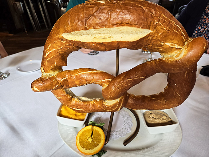 This isn't just a pretzel; it's a carbohydrate masterpiece suspended in mid-air like the Sistine Chapel of baked goods.