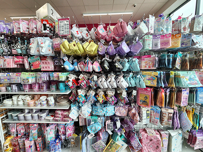 The accessories section is a pastel paradise where Hello Kitty meets Marie Kondo, offering adorable organization solutions for every bag and drawer.