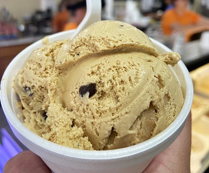 This isn't just coffee ice cream; it's what coffee beans dream of becoming when they grow up. That dense, creamy perfection with real coffee flecks speaks volumes.
