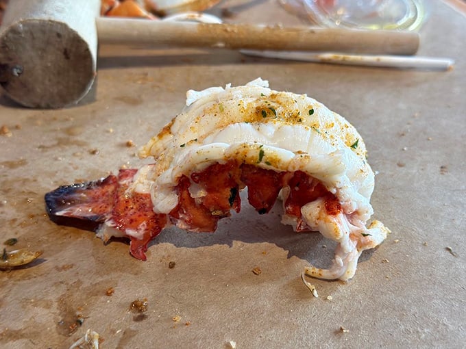 This isn't just lobster tail&mdash;it's edible architecture, a perfect arc of sweet meat waiting to be savored one delicious bite at a time.