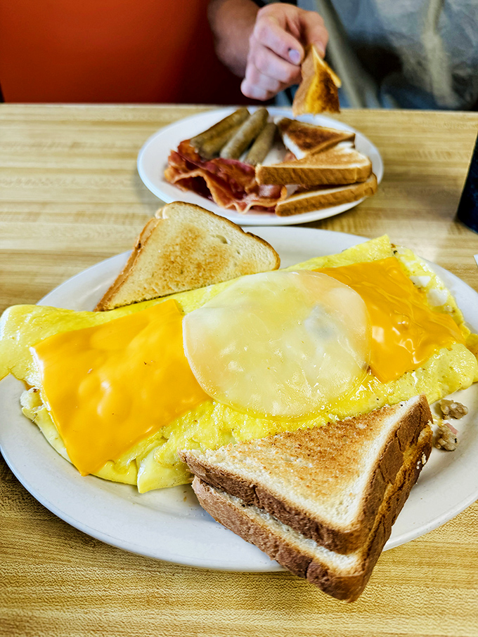 Behold the cheese omelet in its natural habitat &ndash; golden, fluffy, and draped with melted cheese that stretches like it's auditioning for a commercial.