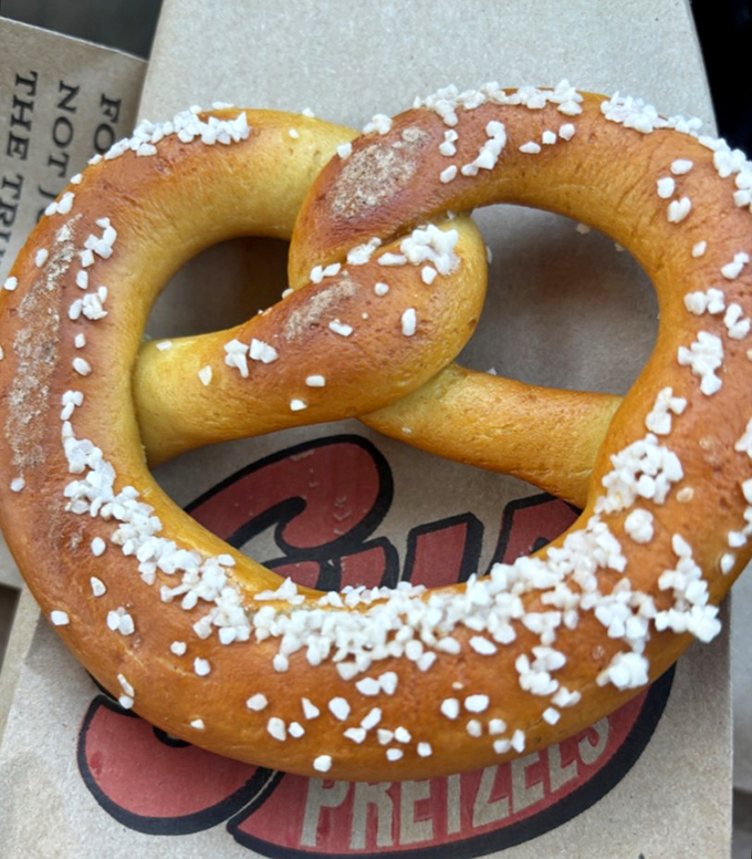 Golden-brown perfection with just the right amount of salt – this pretzel has achieved what most relationships can only dream of: the perfect twist.