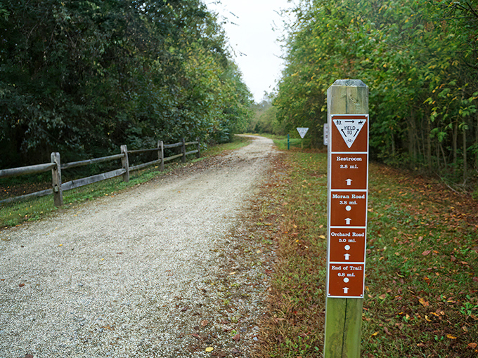 The trail beckons with its crushed limestone path and helpful signage—like a friendly neighbor who actually returns your garden tools.