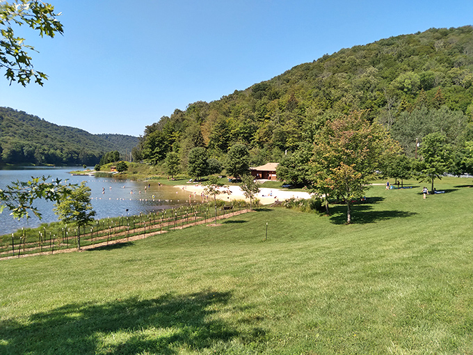 Beach day perfection where you'd least expect it. Families create summer memories on this hidden stretch of sand that rivals any coastal getaway.