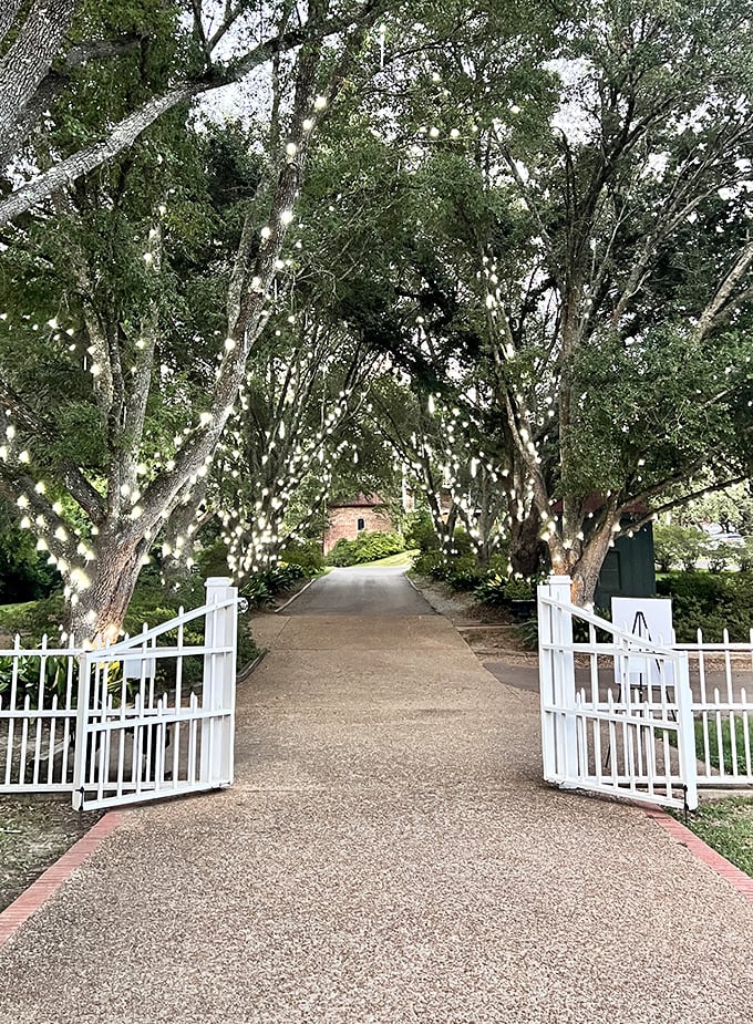 A magical entrance worthy of a fairy tale&mdash;twinkling lights guide visitors down a tree-lined path to this hidden Mississippi gem.