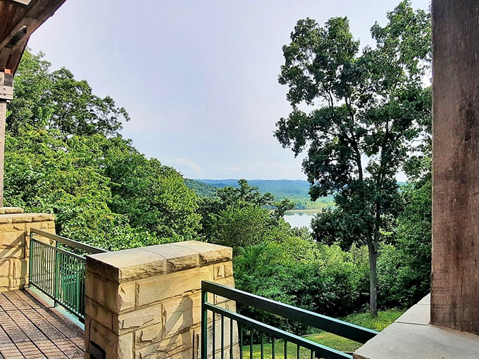 The lodge's viewing deck offers million-dollar vistas without the celebrity neighbor drama. Coffee tastes better with this backdrop.