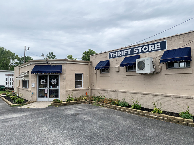 Bridging the Gap's modest exterior hides a trove of treasures that would make Indiana Jones switch careers.