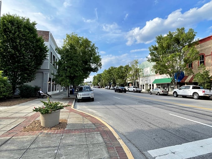 Camden's historic downtown stretches into the distance, inviting you to explore South Carolina's oldest inland town.