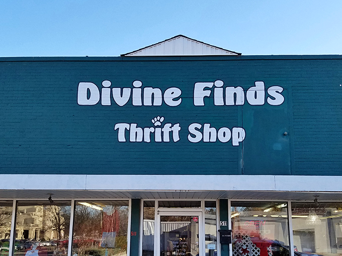 Divine Finds lives up to its heavenly name with this teal-painted thrift paradise. A color this bold promises equally exciting treasures within!