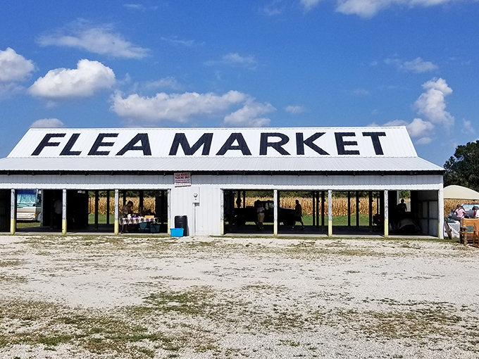 Small-town charm with big market energy! Shoppers stroll between tables under blue skies, hunting for that special something.
