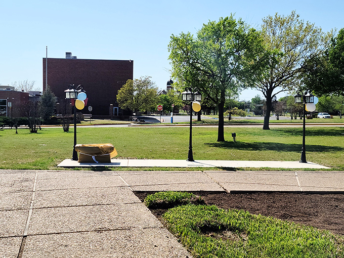 Lawton's downtown corridor offers wide streets and accessible shopping. The southwestern Oklahoma gem provides big value on a fixed income.