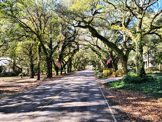 Magnolia Springs' oak-canopied streets create nature's cathedral. The perfect setting for Sunday drives and "did you see that house?" conversations that last for miles.
