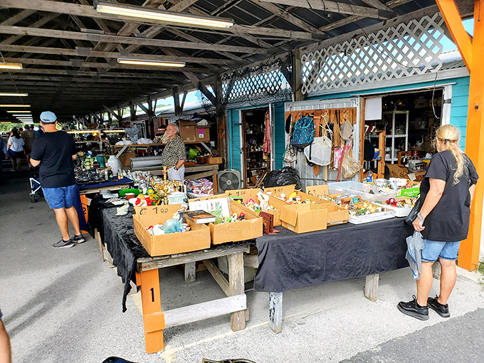 Monday magic in the sunshine! Webster's open-air market transforms a simple field into a bargain hunter's dream.
