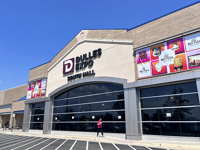 Dulles Expo transformed! The Big Flea Market turns this massive space into a collector's playground where serious antiquing meets casual browsing.