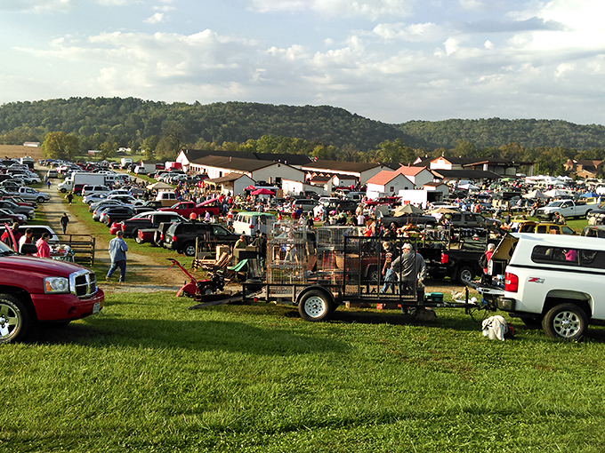 Sunday at White's Farm Market&mdash;part social gathering, part treasure hunt. Where rural Indiana shows off its collecting spirit!