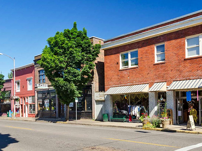 Trees standing tall over friendly streets. The kind of place where everyone still waves to passing cars. 