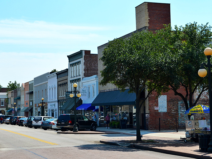 Brick buildings tell Georgetown's centuries-old stories while palm trees whisper hints of coastal adventures just around the corner.