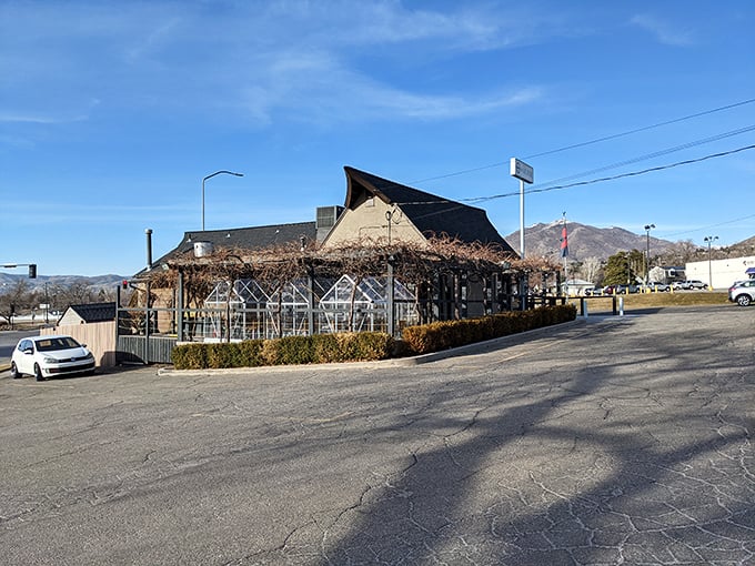 Harbor's unique silhouette against mountain skies creates the perfect setting for seafood adventures. Who needs an ocean view?