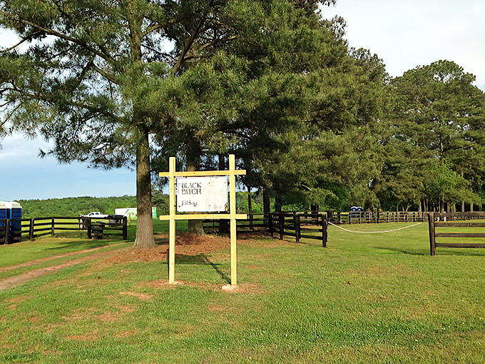 Black Patch Farm sign stands sentinel among towering pines, promising peaceful country living where neighbors wave from their porches.