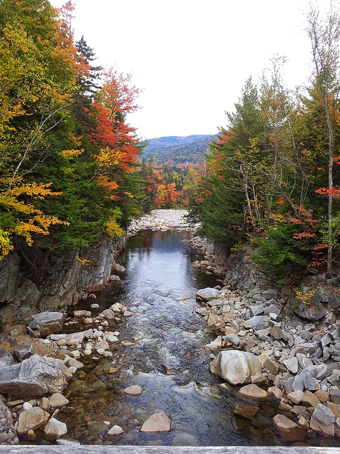 The Ellis River cuts through Jackson's autumn splendor creating nature's perfect soundtrack &ndash; who needs meditation apps when you've got this?