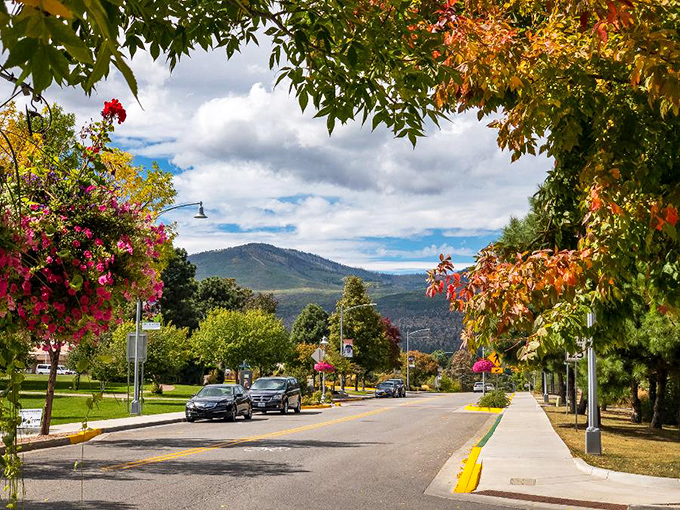 The view from Los Alamos reveals nature's grandeur, where sunset paints the landscape in hues no artist could fully capture.