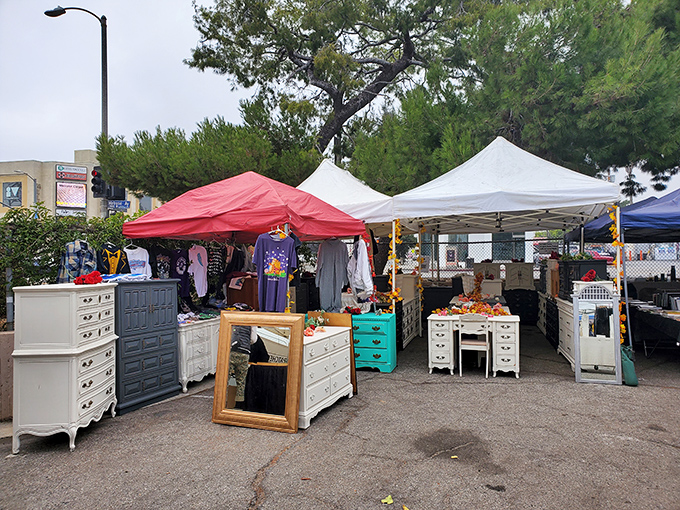 Vintage glassware and delicate treasures catch the California light at Melrose. Each piece tells a story waiting to be continued in your home.