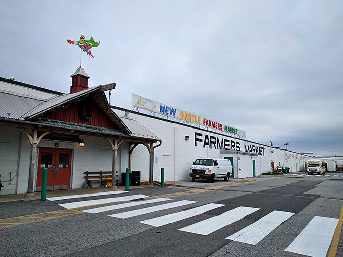 That colorful weathervane isn't just for show - it's pointing you toward some of the best shopping adventures in Delaware.