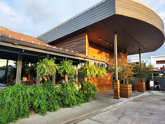 The curved wooden overhang invites you into a seafood sanctuary where even landlubbers find maritime bliss.