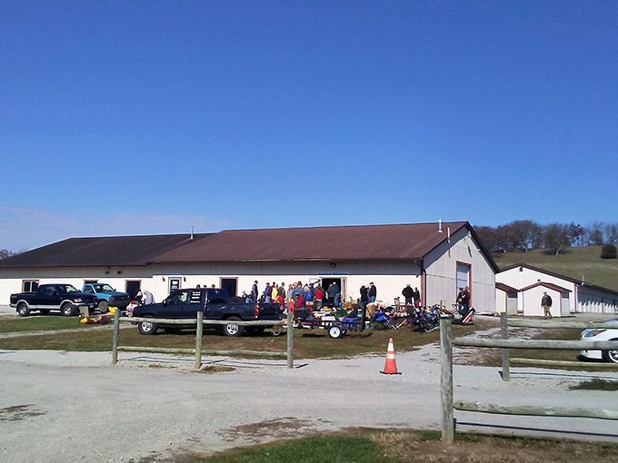 Trucks, trailers, and treasures at White's Farm. The kind of place where your grandfather would say, "They don't make 'em like this anymore."