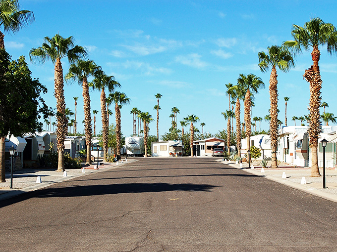 Yuma's RV parks offer snowbirds the perfect winter nest, complete with palm trees standing like sentinels against the desert sky.