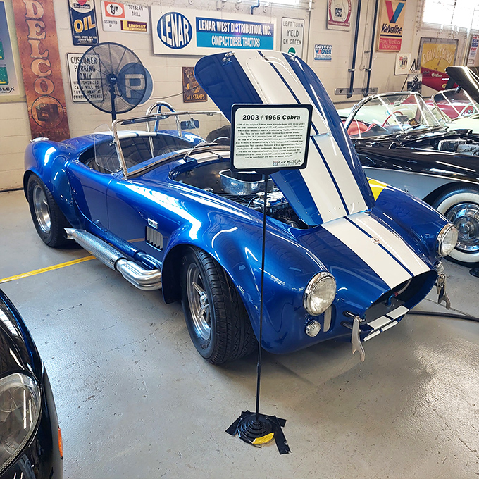 Blue thunder! This Cobra replica gleams with the promise of open-road freedom and enough horsepower to make your heart race faster than the car itself.