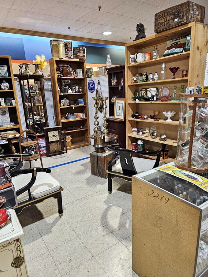 A collector's corner where vintage lamps illuminate treasures from bygone eras. Every shelf holds a potential conversation piece.