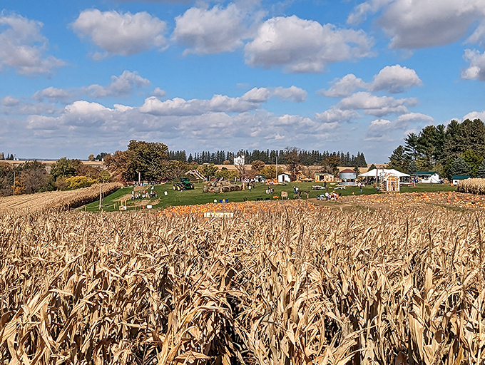 Beyond Lanesboro's quaint downtown, the surrounding farmland reminds visitors that this picturesque town is still very much connected to Minnesota's agricultural heartbeat.