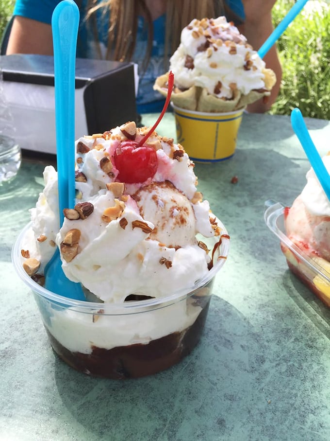 Some people meditate for peace; I stare at this perfect tower of cream, nuts, and cherry. Enlightenment in a plastic cup.